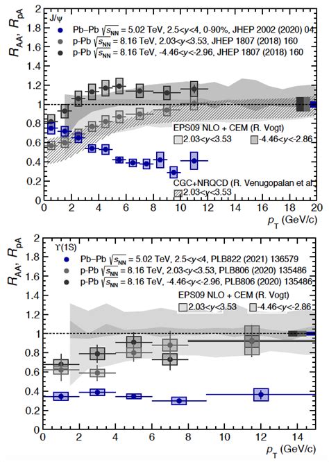 Raa And Rpa As A Function Of Pt For Jψ Top And Υ1s Bottom