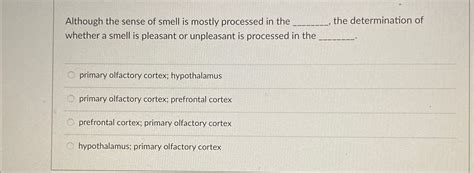 Solved Although The Sense Of Smell Is Mostly Processed In Solved Although The Sense Of Smell Is Mostly Processed In