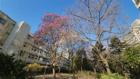 은퇴하면 뭐 먹고 살까 고민하는 사람들 욕심 안 부리고 서두르지 않으면 된다 멀리 내다 보고 천천히 준비하면 된다 다들 자기 그릇대로 산다 은퇴노년나중의