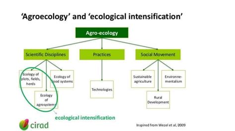 Sustainable Intensification Of Biodiversity In Agroecosystem Through Conservation Agriculture Ppt