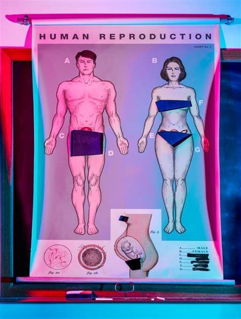 20 Online Resources To Take Sex Ed Into Your Own Hands Artofit