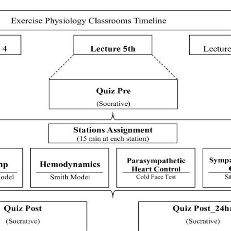 Schematic Representation Of The Experimental Design Download