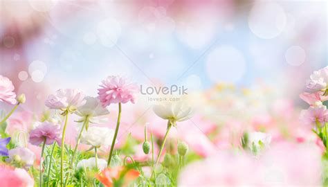 봄 풍경 배경 사진 및 창의적인 일러스트 무료 다운로드 Lovepik