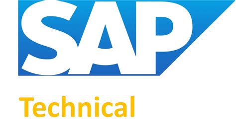 Sap Technical Majid Rafiei