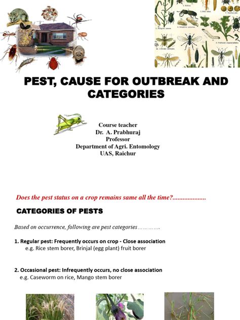 Lecture 4 Slides Pdf