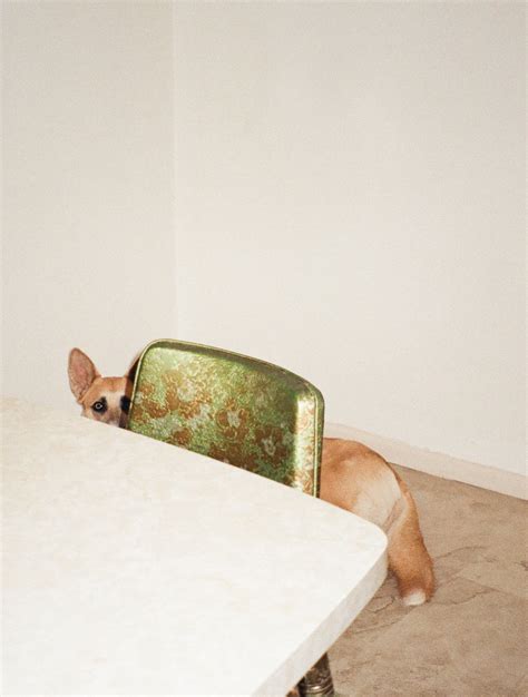 Macayli Hausmann Emotional Algorithm — Broad