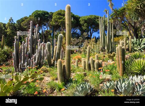Spain Catalonia Costa Brava Blanes Marimurtra Botanical Garden