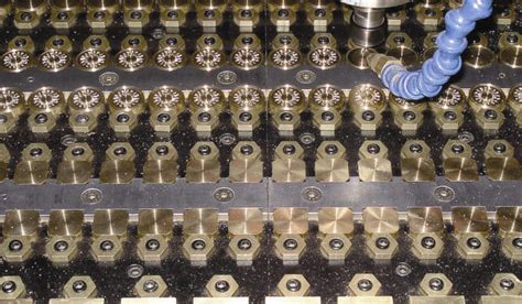 Mitee Bite Leading Marks