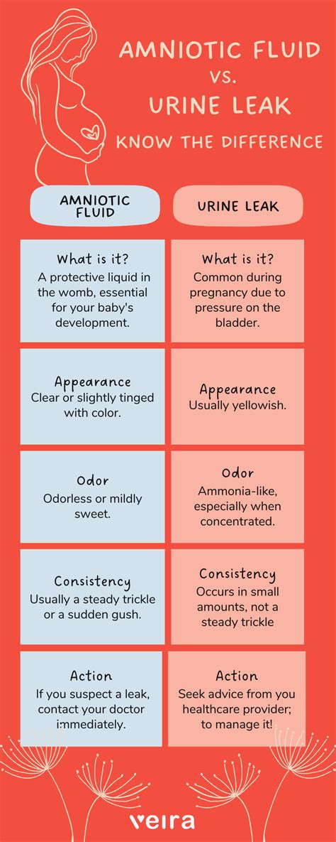 What Is Amniotic Fluid Leak At Bernadette Williams Blog