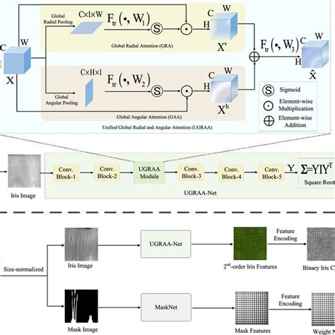 Illustration Of The Proposed Iris Recognition Method We Propose The Download Scientific