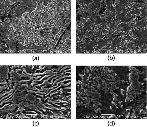Sem Microstructures Of Low Carbon Steel Cross Section Ac Initial