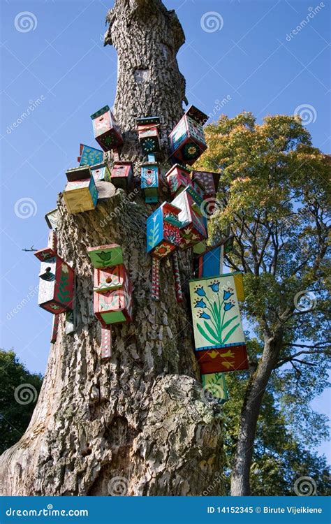 Nesting Boxes On The Tree Stock Image Image Of Nesting 14152345