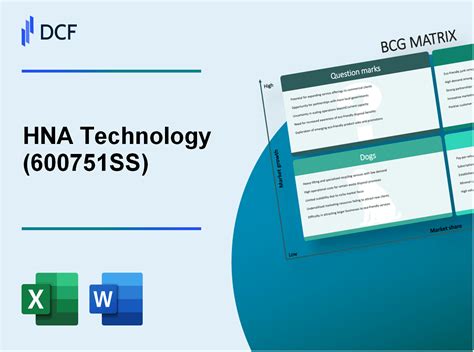 Hna Technology 600751ss Bcg Matrix Analysis