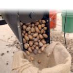 Nut Sorting Table Bag A Nut