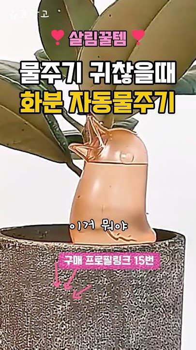 화분 자동 급수기 물주기 추천 페트병 자동급수 ️ 쿠팡 삶의질 상승템 Youtube