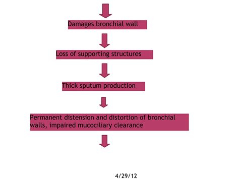 Bronchiectasis And Their Causes Symptoms Pdf Lung And Respiratory Health Diseases And