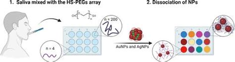 Matrix Insensitive Sensor Arrays Via Peptide Coated Nanoparticles Rapid Saliva Screening For