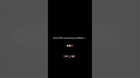 හිතට දැනෙන ආදරණීය වදන්🌼 😌 Havi Sinhala Wadan Status Youtube