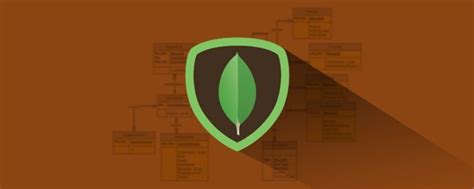 What Is Dbrefs And Manual References In Mongodb