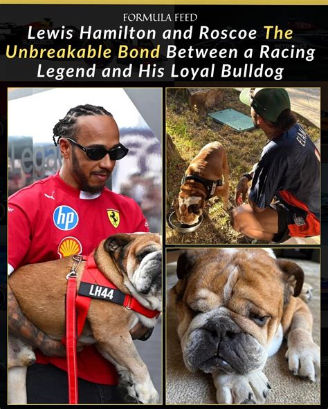 Formula Lewis Hamilton The Iconic Formula 1 Champion Shares An