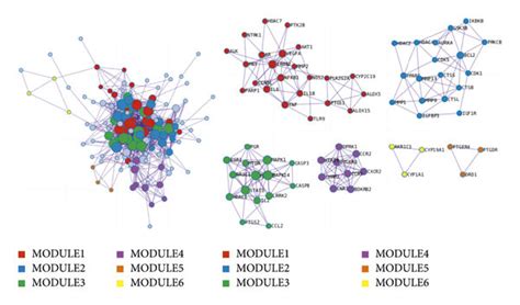 the top 6 gene clusters in the enrichment mcode analysis download