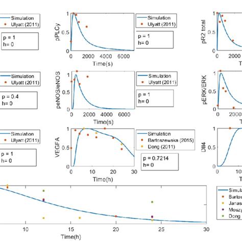 Fitting Model To Experimental Data Under Hypoxia Model Time Course Download Scientific Diagram