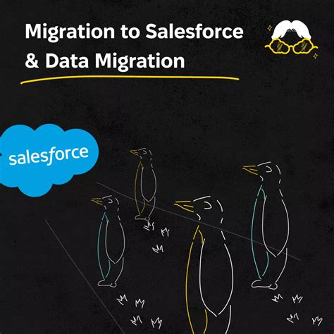 Synebo Provider Of Salesforce Development Services