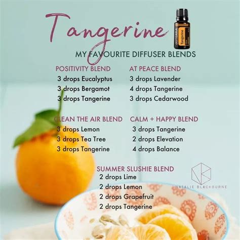 Tangerine Diffuser Blends— Clean Citrus Happy Uplift Bright