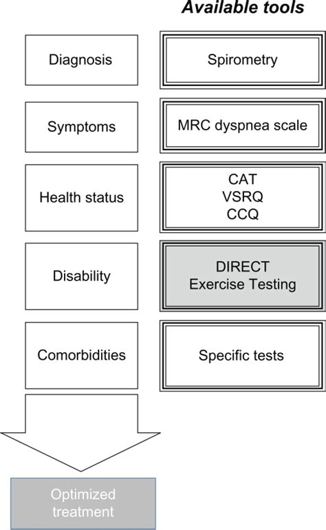 Schematic Representation Of Copd Patient Management Wit Open I