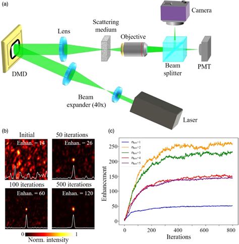 Color Online Experiment For The Multi Pixel Encoding Ga A Download Scientific Diagram