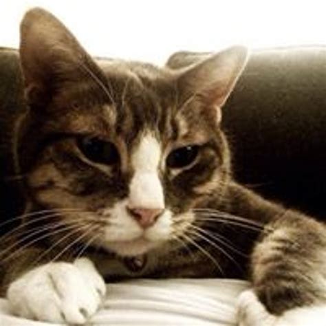 Stream Dusty Baker Kramer Music Listen To Songs Albums Playlists For Free On Soundcloud