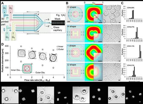 figure s1 shape coded particles a a cross section of the 3d printed