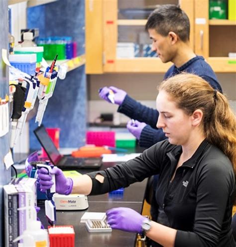 DNA Data Storage System Is On The Rise Find Out How To Store Yours