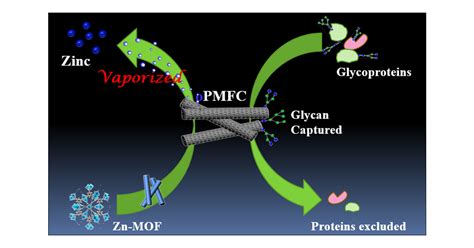 Highly Porous Metal Free Graphitic Carbon Derived From MetalOrganic Framework For Profiling Of