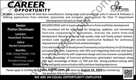 ff steel jobs senior flutter developer