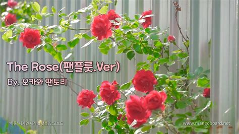 The Rose팬플룻ver 더 로즈 2중주곡 힐링음악 아침에 듣기좋은노래 모닝팝송 더운여름날 화려하게 핀 장미를 생각하며 화음연주올려봅니다 ~ Youtube