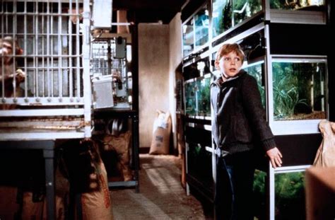 Lance Holcomb Star Tv Spielfilm