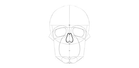 How To Draw A Skull