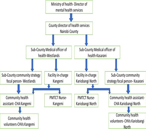 Collaborative Structure For Ipt Implementation Download Scientific Diagram