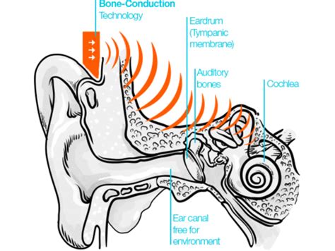Bone Conduction Technology And What To Expect 100buytech