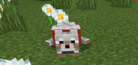 Search Results For Animation Mcpedl Search Results For Animation Mcpedl