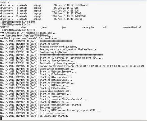 sap sum software update manager 1 0 sp9 sap is easy and easy