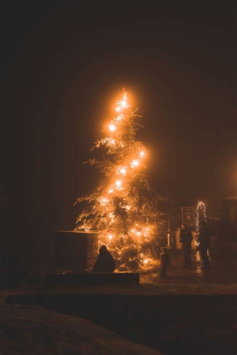 밤 불빛 불이 켜진 사람 서 있는 수직 쐈어 장식 크리스마스 크리스마스 트리에 관한 무료 스톡 사진