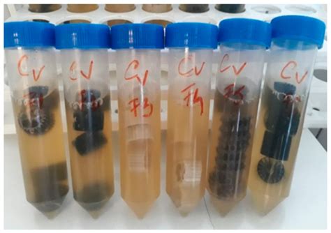 What Does Api 20e Test For