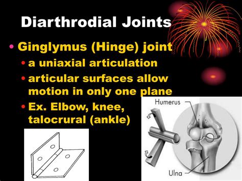 Ppt Structural Kinesiology Powerpoint Presentation Free Download