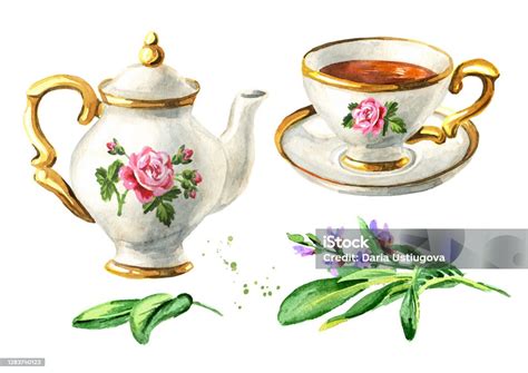 찻주전자 차 한 잔 세이지 세트 흰색 배경에 고립 된 손으로 그린 수채화 그림 건강관리와 의술에 대한 스톡 벡터 아트 및 기타
