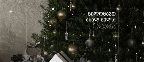 Lisi Topograph • ლისი ტოპოგრაფი Home