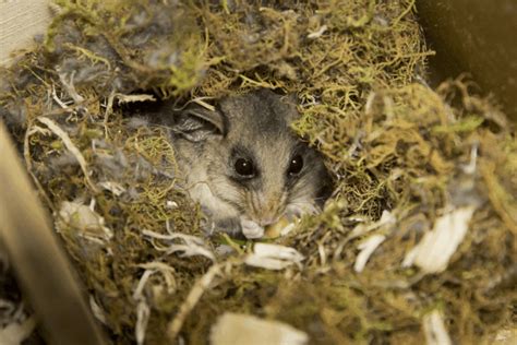 Adaptation Interventions Adapt Landandsea