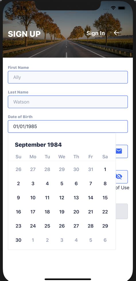 Datepicker Arrows Not Visible · Issue 1029 · Akveoreact Native Ui Kitten · Github