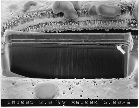 sem micrograph of the fib cross sectional portion of the peeled pad